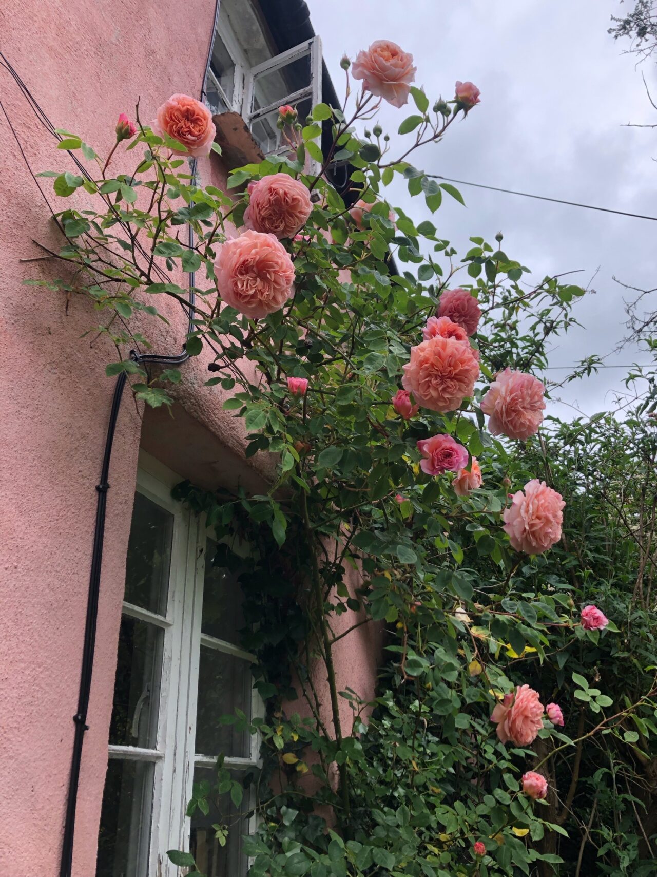 Brambles Devon | Brambles Art Retreat