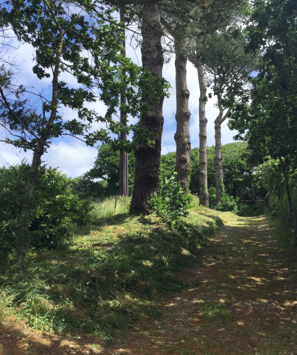 Calamansac | Brambles Art Retreat