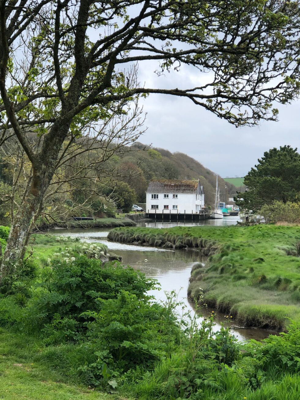 Calamansac | Brambles Art Retreat